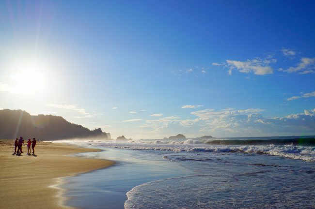 🐢 Sukamade Turtle Beach: A Complete Guide to East Java’s Untouched ...